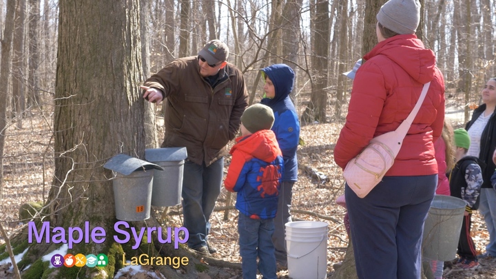 Education Counts Michiana - Maple Syrup Field Trips | PBS Michiana - WNIT