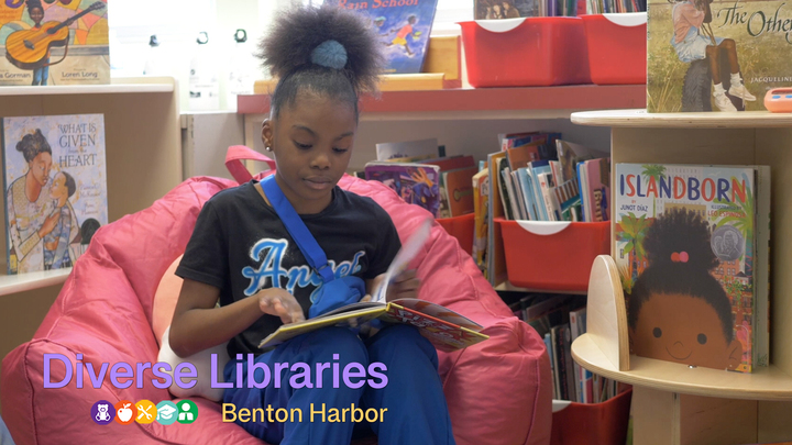 Education Counts Michiana - Diverse Classroom Libraries | PBS Michiana ...